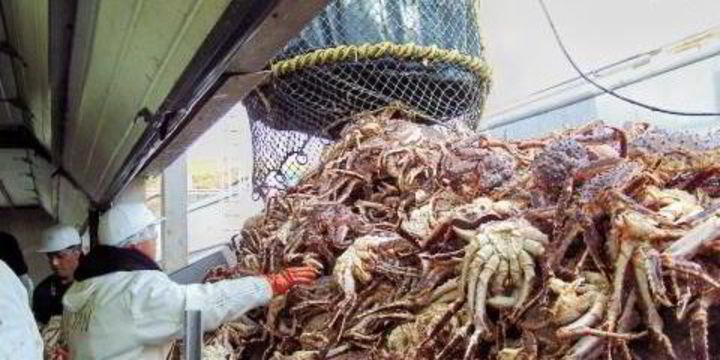 Jailed Russian crab king returns to U.S. | IntraFish.com