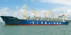 Vinalines swallows 36 ships | TradeWinds