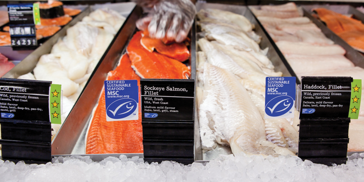 The hottest global markets for eco-labeled seafood | IntraFish.com