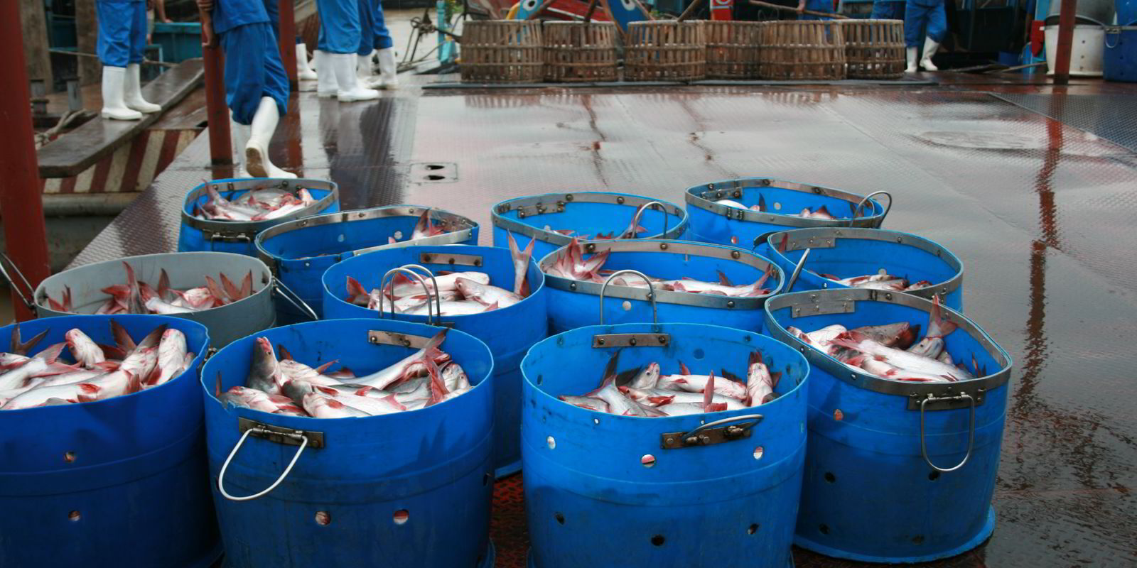 Pangasius producer feels the strain of rising costs | IntraFish.com