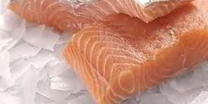 Aldi, Lidl giving fresh salmon sales a huge boost in Germany ...
