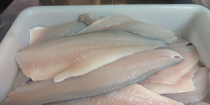 First Canadian Atlantic cod fishery scoops MSC label | IntraFish.com