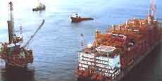 Vitol still prey to vulture | TradeWinds