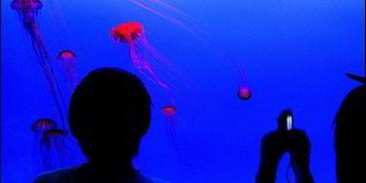 Subsea 7 scoops Angola prize | Upstream Online