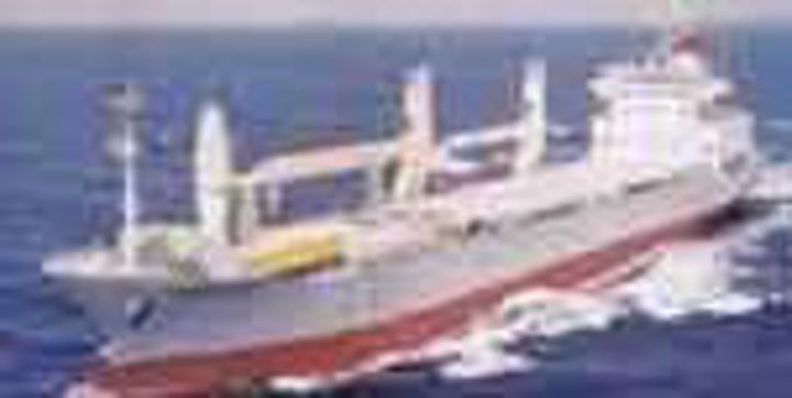 Cosco hit in Finland | TradeWinds