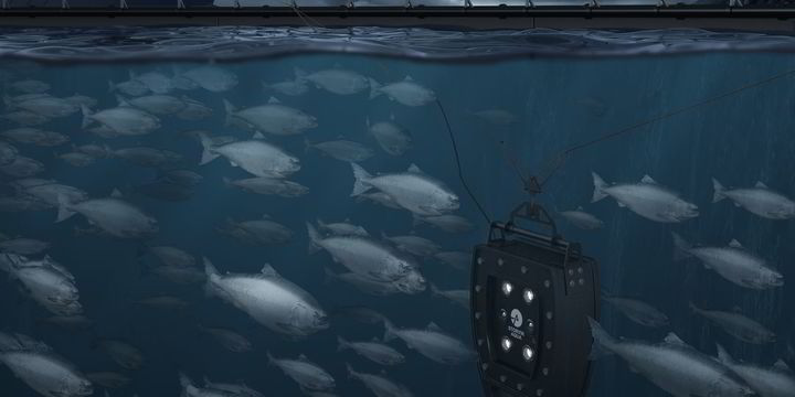 Vard kjøper Storvik Aqua | IntraFish.no