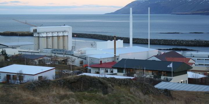 Full production planned for HB Grandi pelagic plants | IntraFish.com