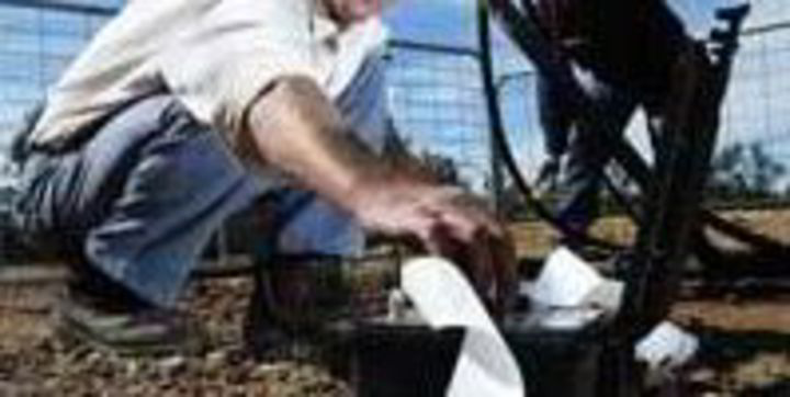 AGL shells out for QGC stake | Upstream Online