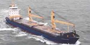 Hartmann ship aground | TradeWinds