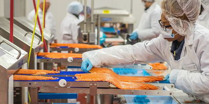 Picture gallery: Inside North America's most advanced smoked salmon ...