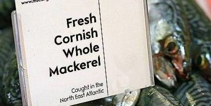 MSC considers logo redesign | IntraFish.com