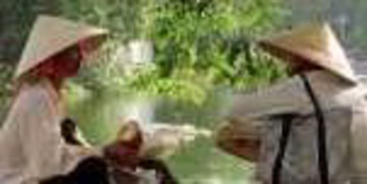 Finality at Nam Con Son | Upstream Online