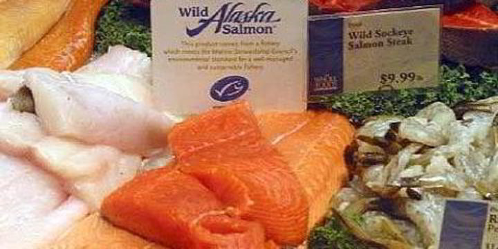 Report: Eco-labels are useless | IntraFish.com