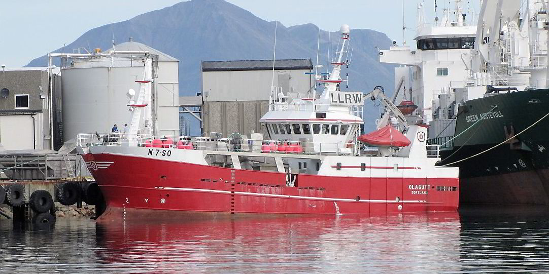 Masse makrell - langs hele kysten | Fiskeribladet