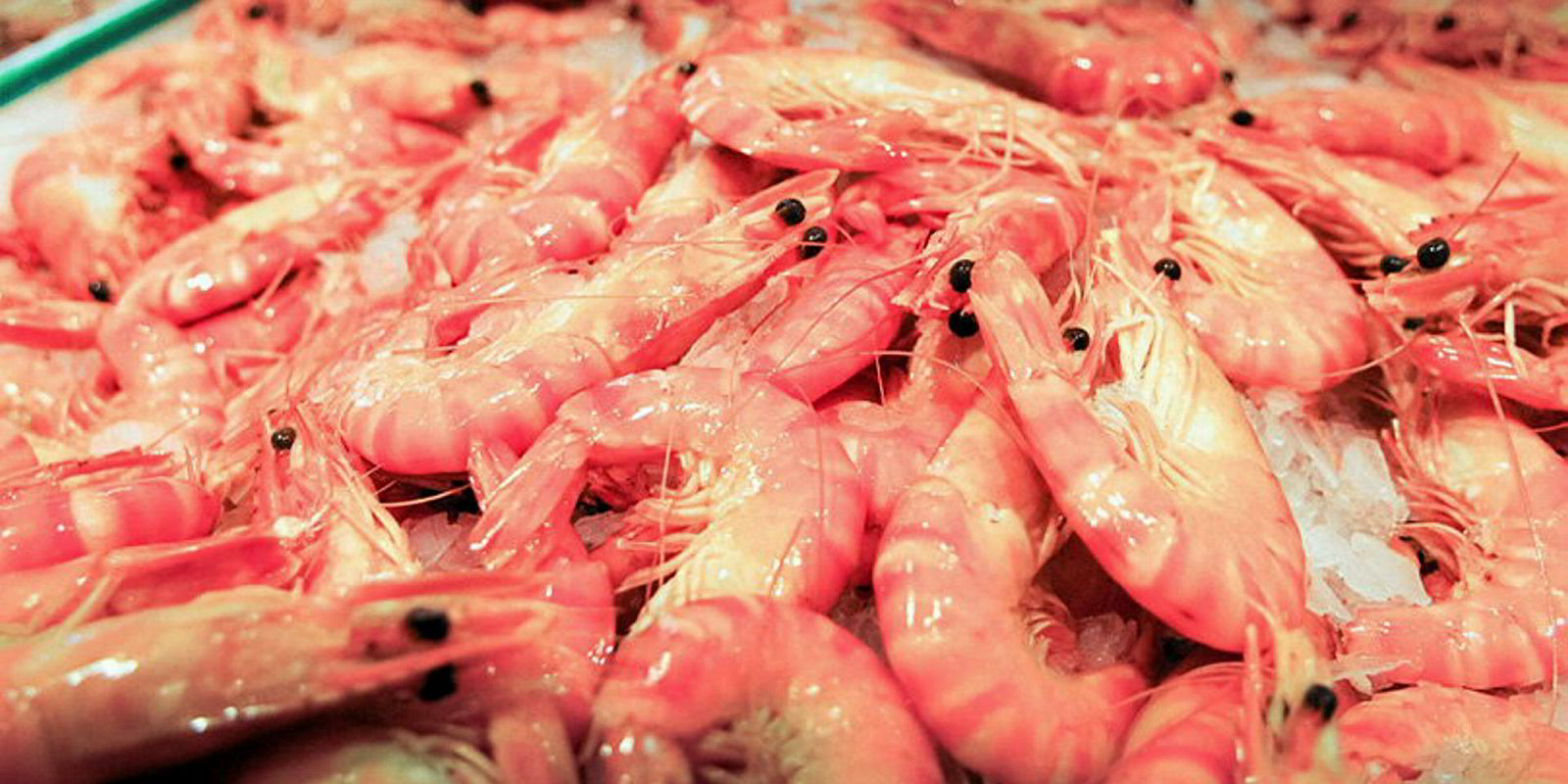 Sysco names its top 2019 seafood suppliers | IntraFish.com