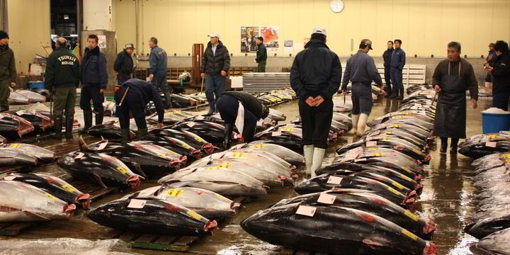 Toyota to boost farmed bluefin tuna production | IntraFish.com