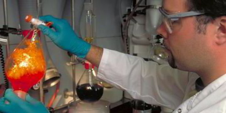 Novozymes unveils new enzyme designed to boost yields | Recharge