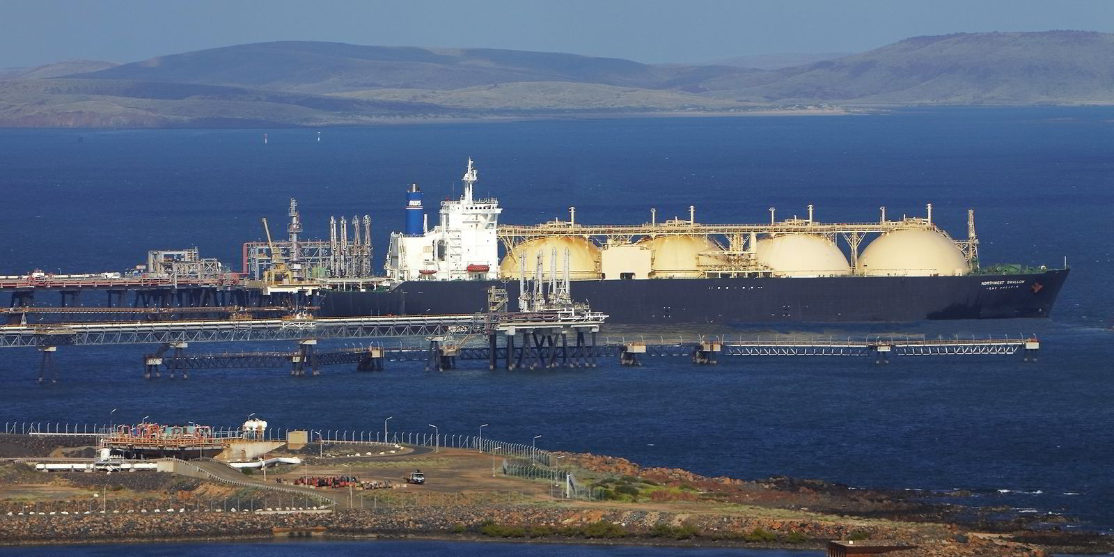 Five units shortlisted for NWS time charter | TradeWinds