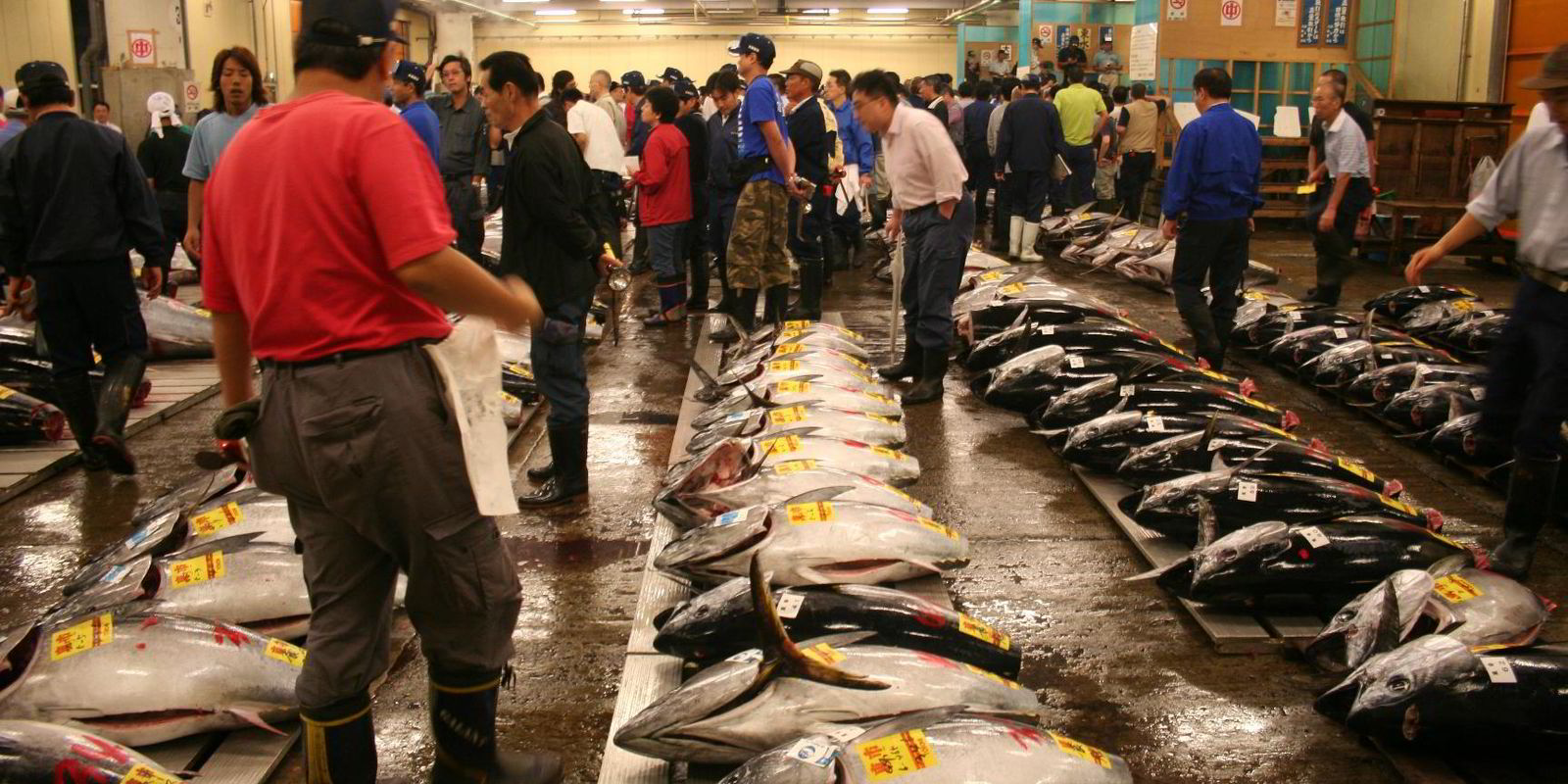 The 10 most important fish markets in the world | IntraFish.com