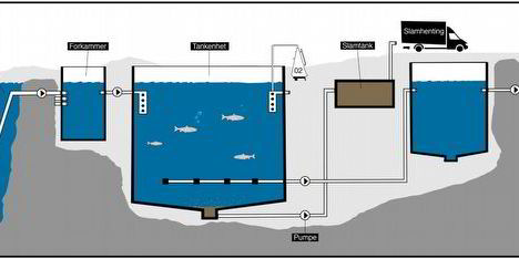 Ambitious plans for land-based fish farming in Norway | IntraFish.com