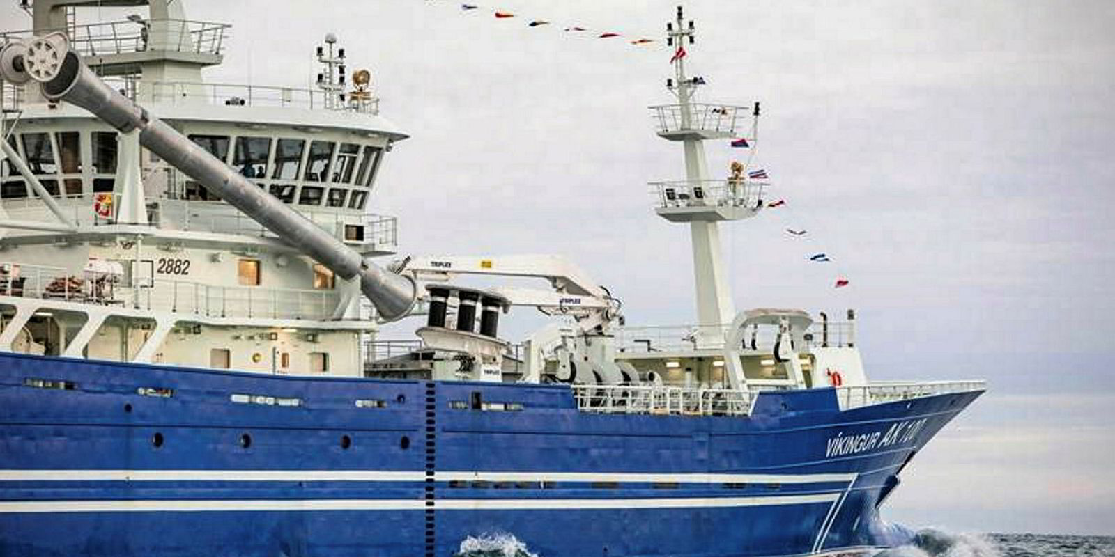 HB Grandi sells groundfish processing plant | IntraFish.com