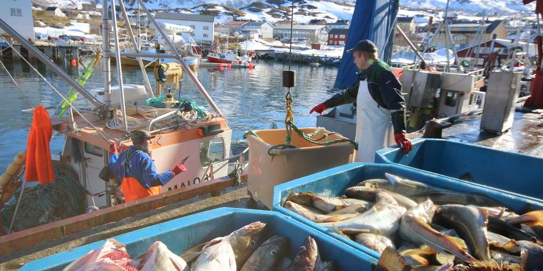 Danish North Sea cod wins MSC certification | IntraFish.com