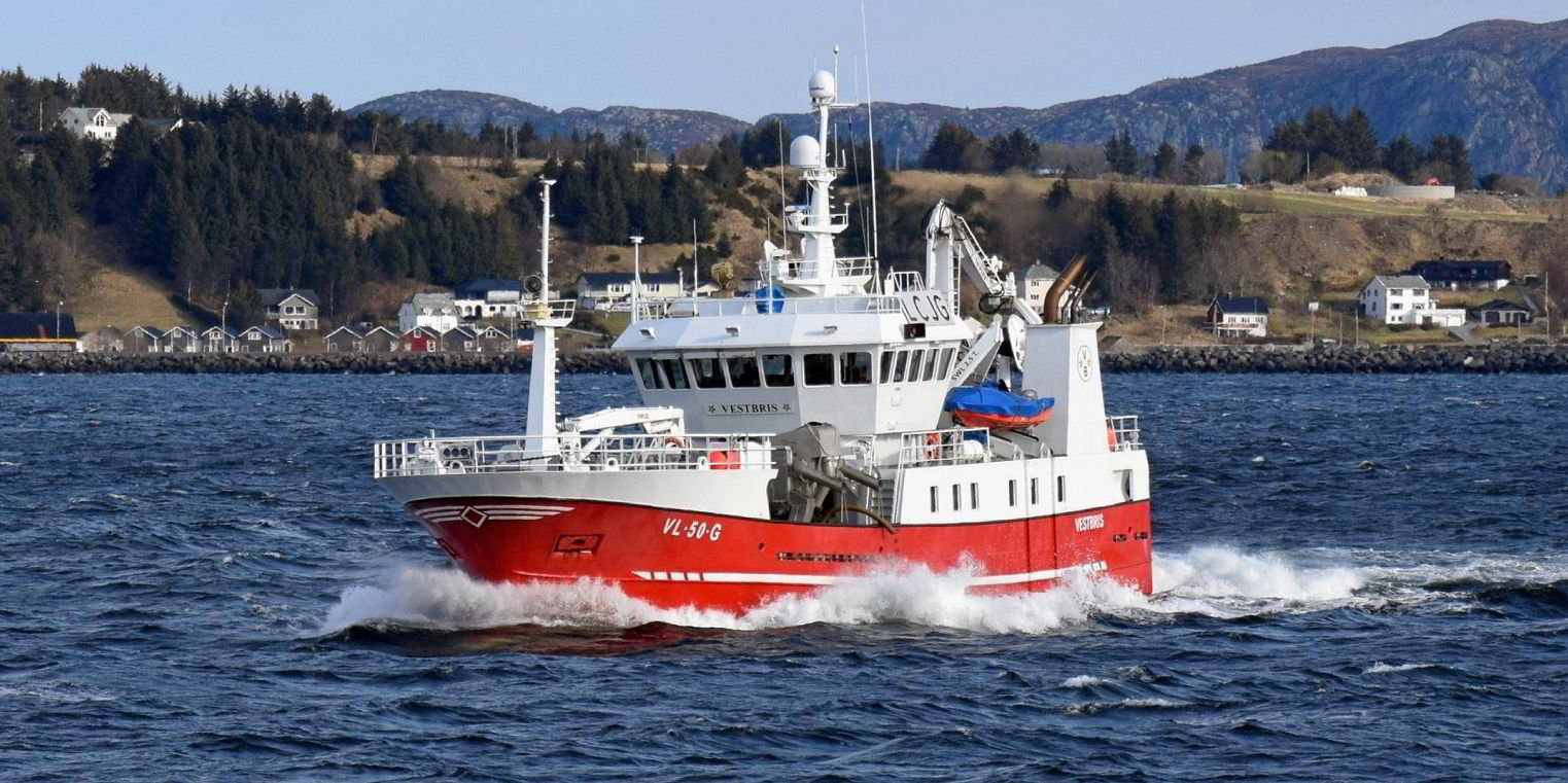 Silda står fortsatt i ro i Kvænangen | Fiskeribladet