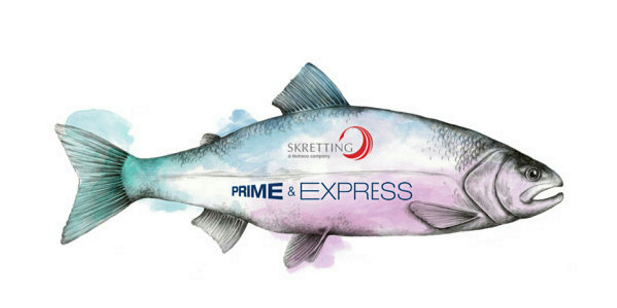 Skretting launches new salmon diets | IntraFish.com