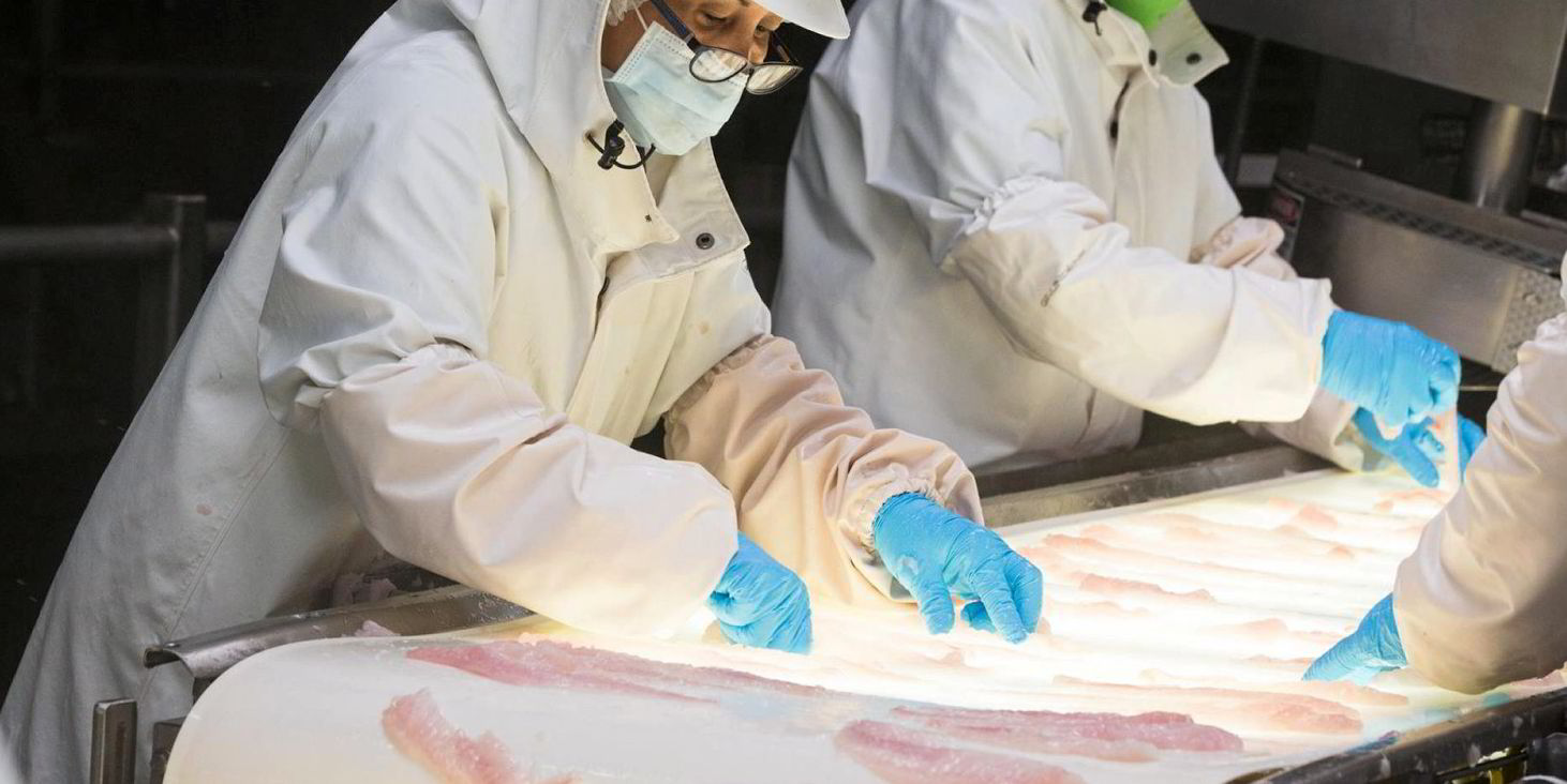 Deep-skin continues to dominate Alaska pollock production as A season ...