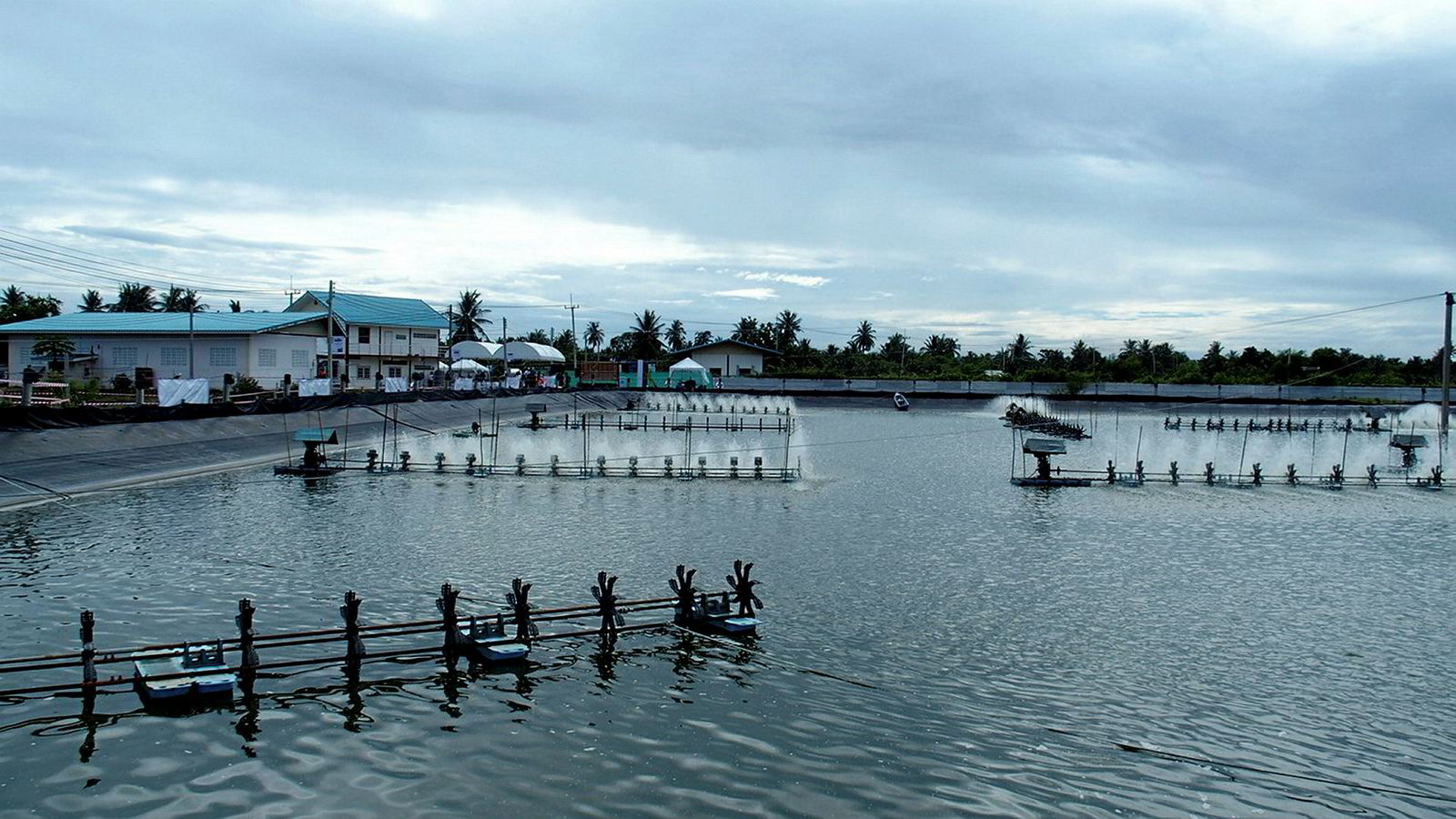 Cargill opens aquaculture innovation center in Thailand | Intrafish