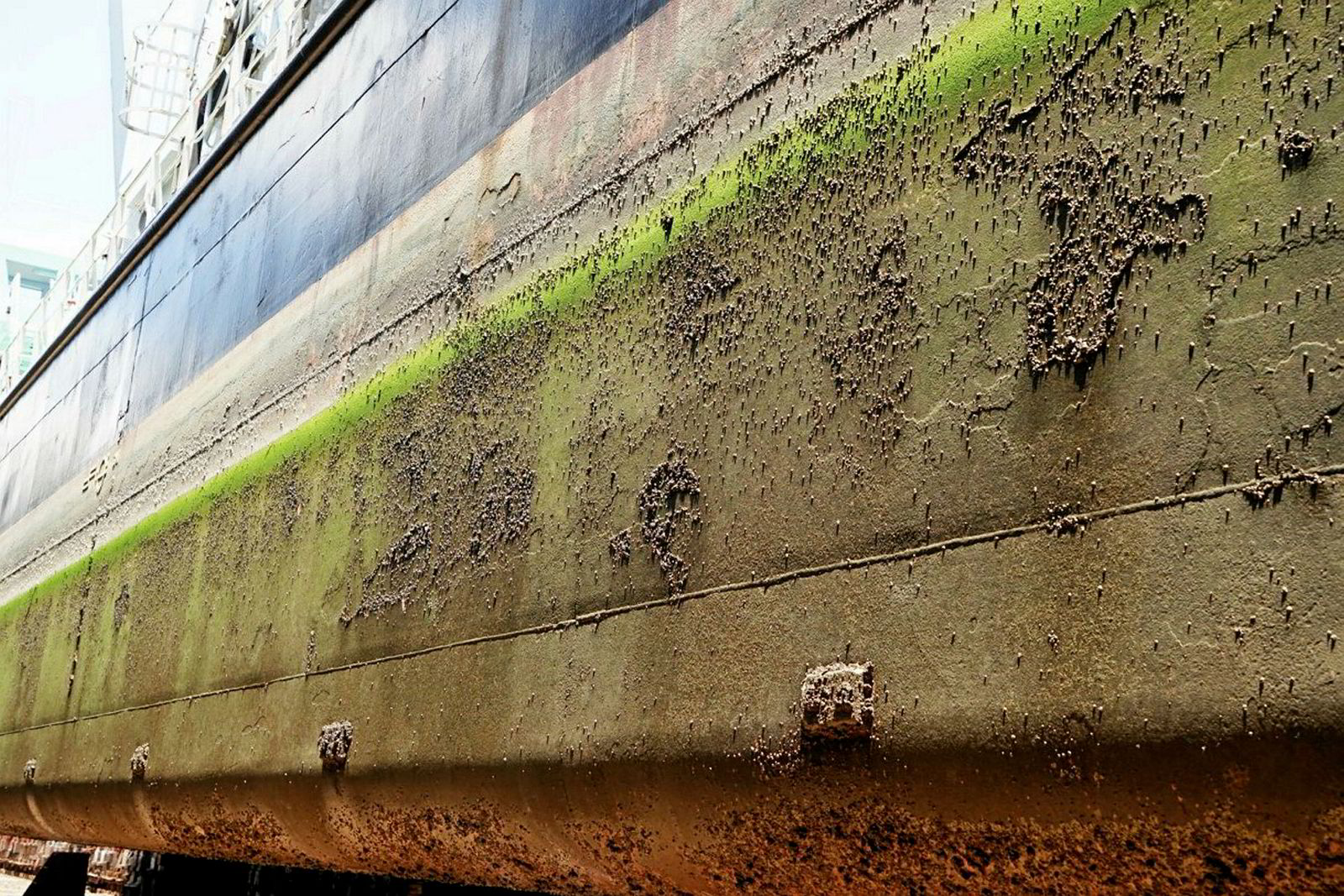 Shipping warned of large costs from hull fouling as ships sit at anchor ...