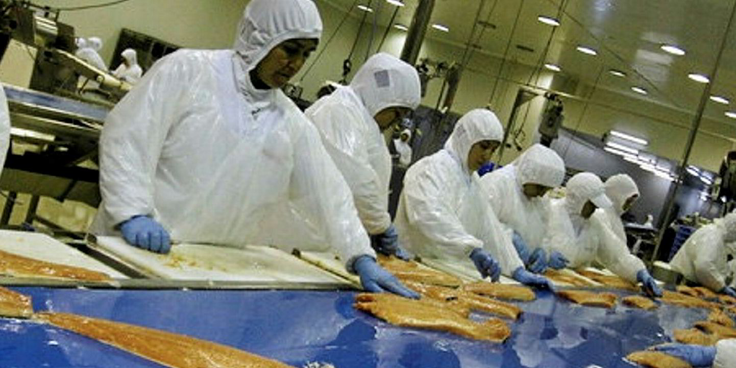 Chile issues first e-certificate for Chinese salmon shipments ...