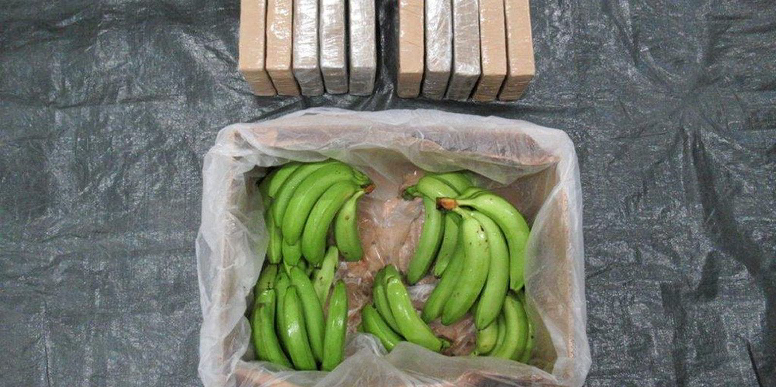 Cocaine worth £450m discovered in container of bananas | TradeWinds