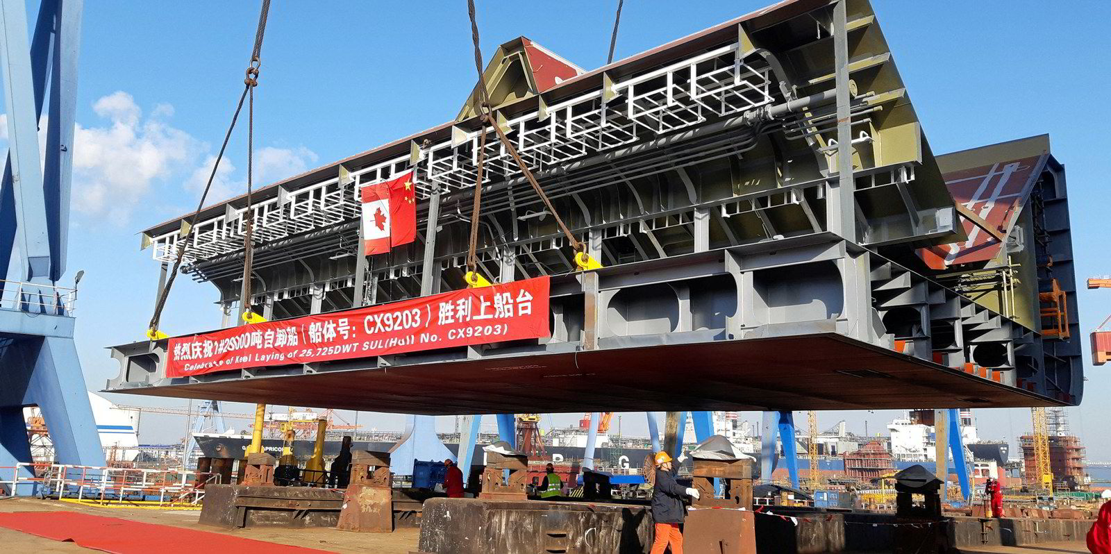 Bulker newbuild ordering to accelerate next year, Bimco warns | TradeWinds