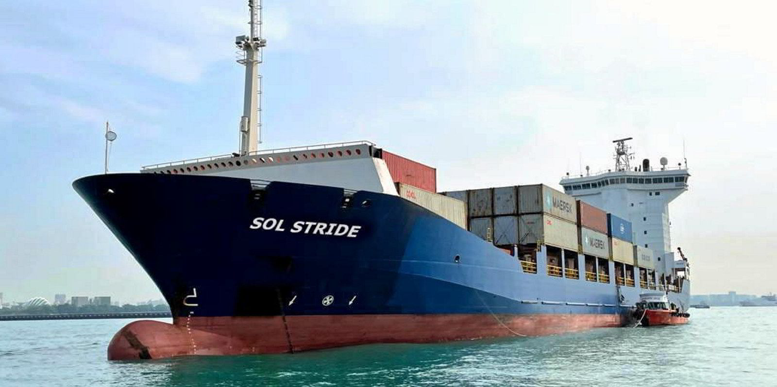 Carriers launch new services as sentiment improves, but will rates ...