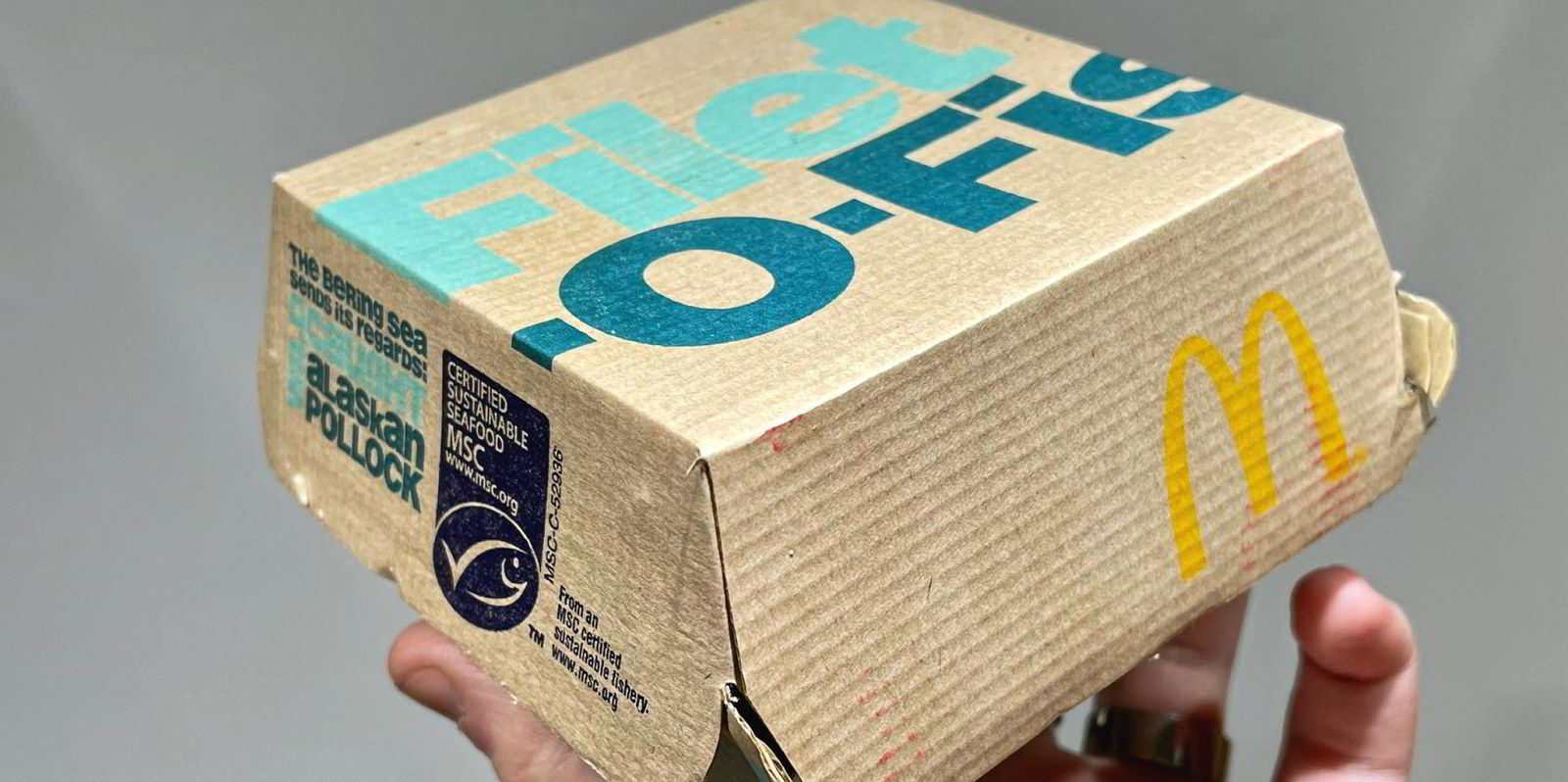 McDonald's warns Alaska pollock industry of rise in nematodes in Filet ...