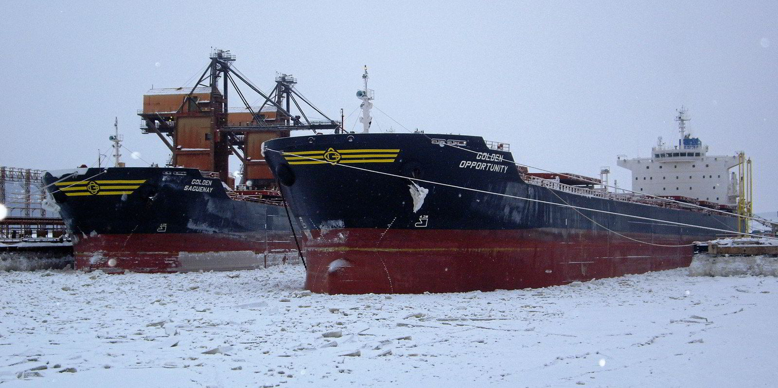 Golden Ocean Group to build more kamsarmaxes and sell two panamaxes ...