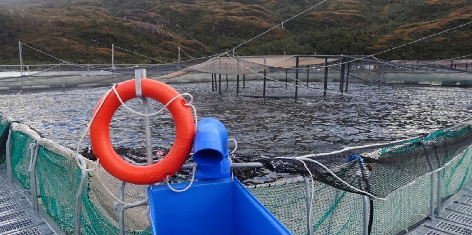 Chilean salmon farmer Australis facing charges for alleged ...