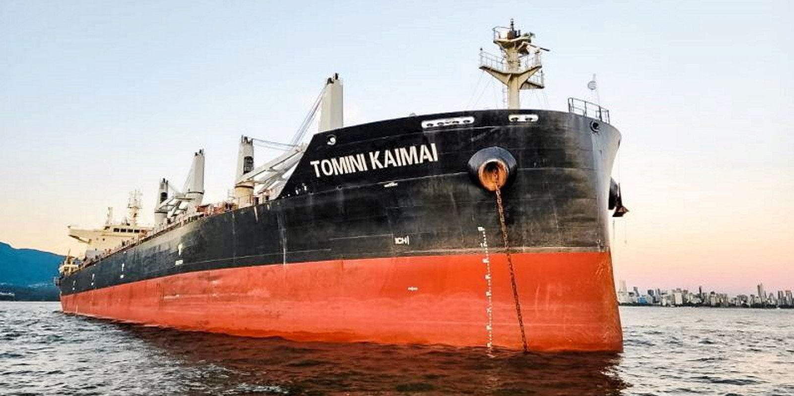 Tomini Shipping’s Interlink bulker buy tally reaches the nine-ship mark | TradeWinds