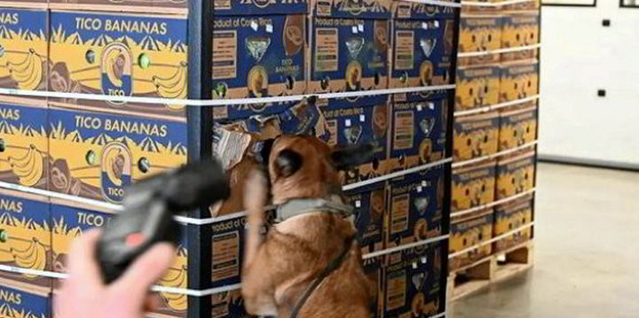 Europol reveals scale of new cocaine smuggling tactic at European ports ...