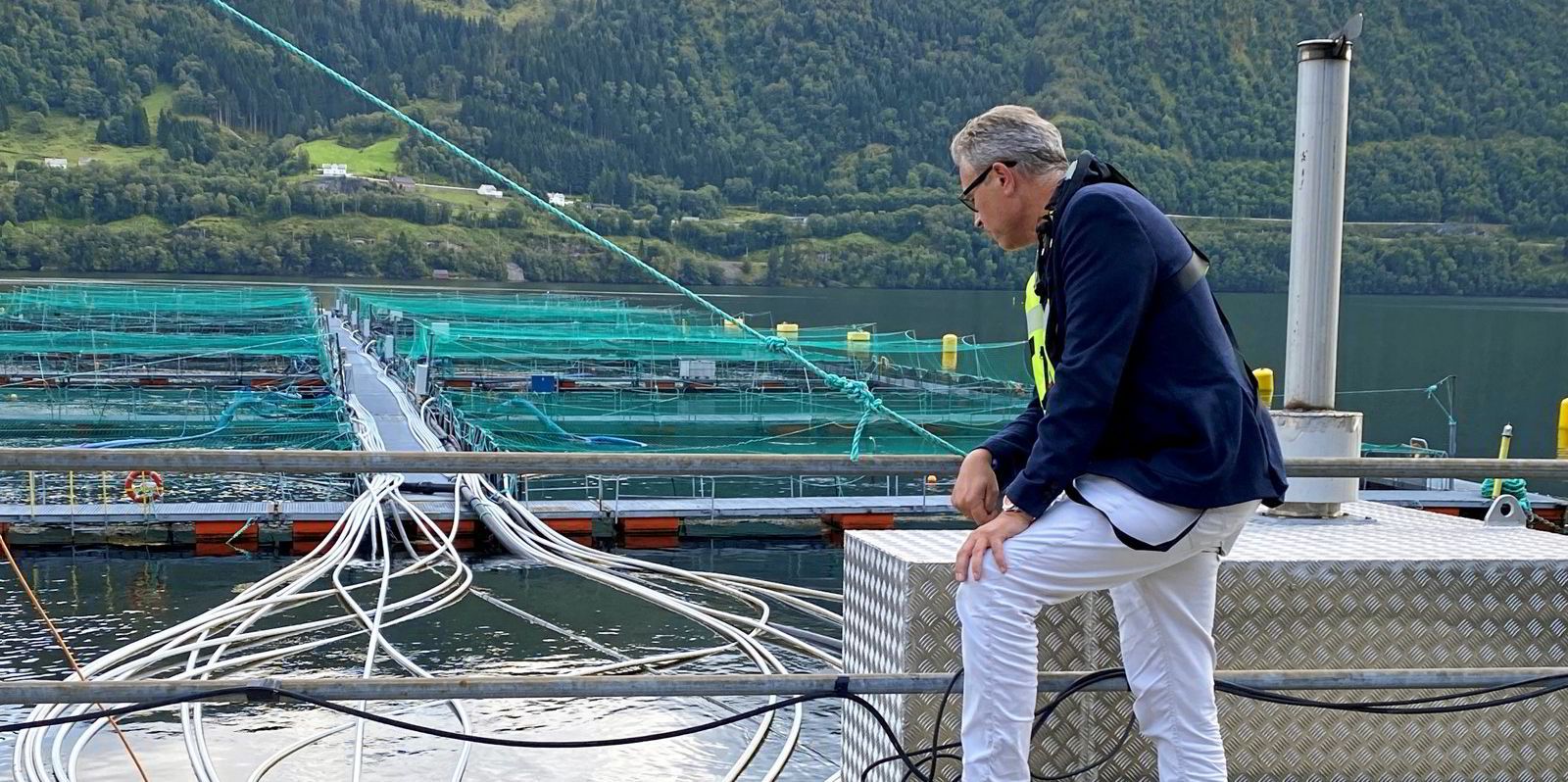 Norway Royal Salmon successfully launches first offshore cage, nears ...