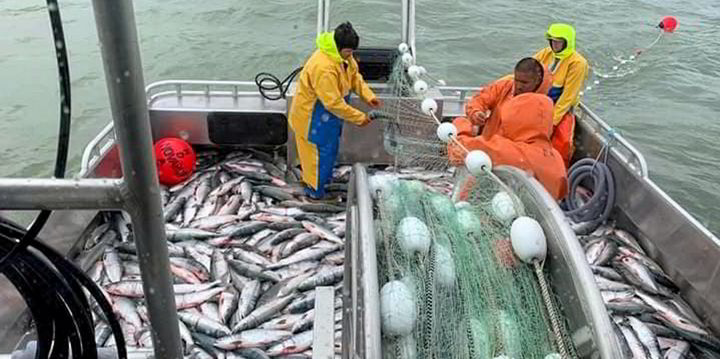 Buyer swoops in to acquire North Pacific Seafoods | IntraFish.com