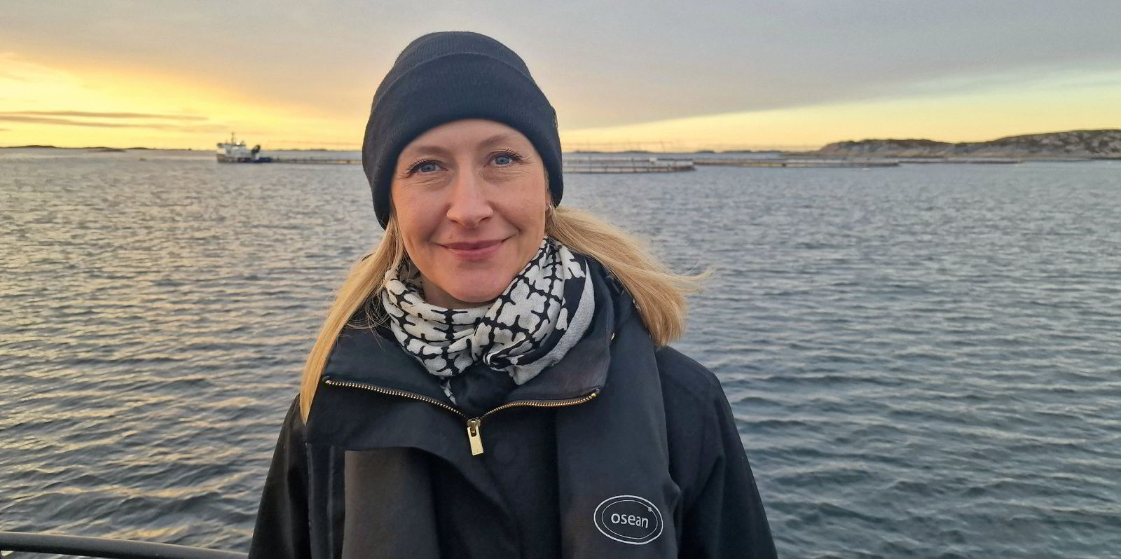 Her svømmer oppdrettstorsken i Norcod-merden: – Den er en ordentlig rå ...