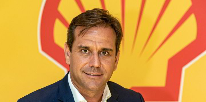 Shell mulling SURF bids for Gato do Mato as Brazil project edges ...