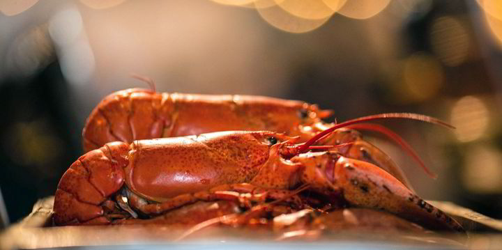 Correction: Clearwater Seafoods puts in request to catch more lobster ...