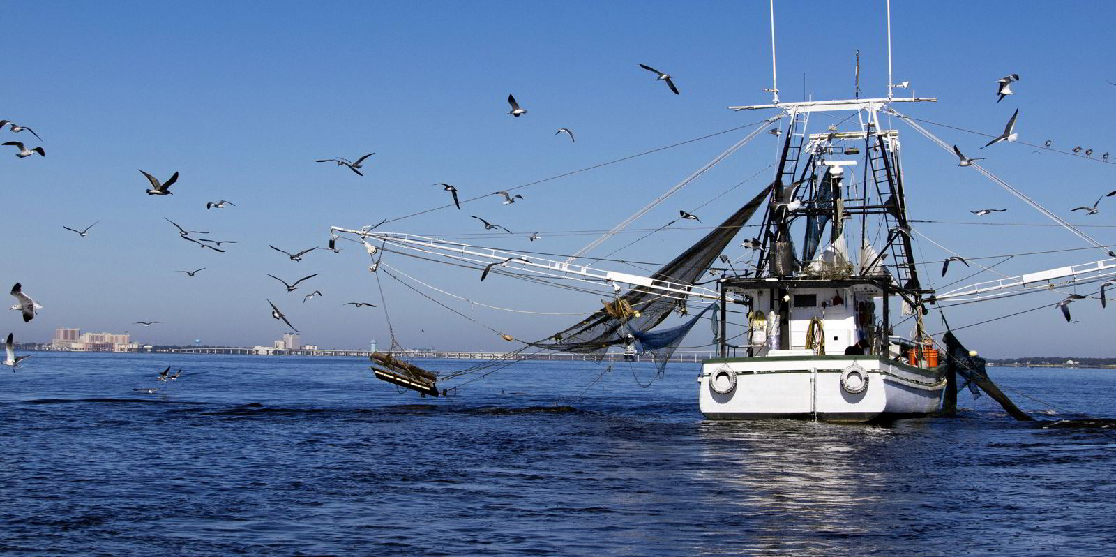 Opinion: Cowardice got us into this mess, lying isn’t going to get us ...