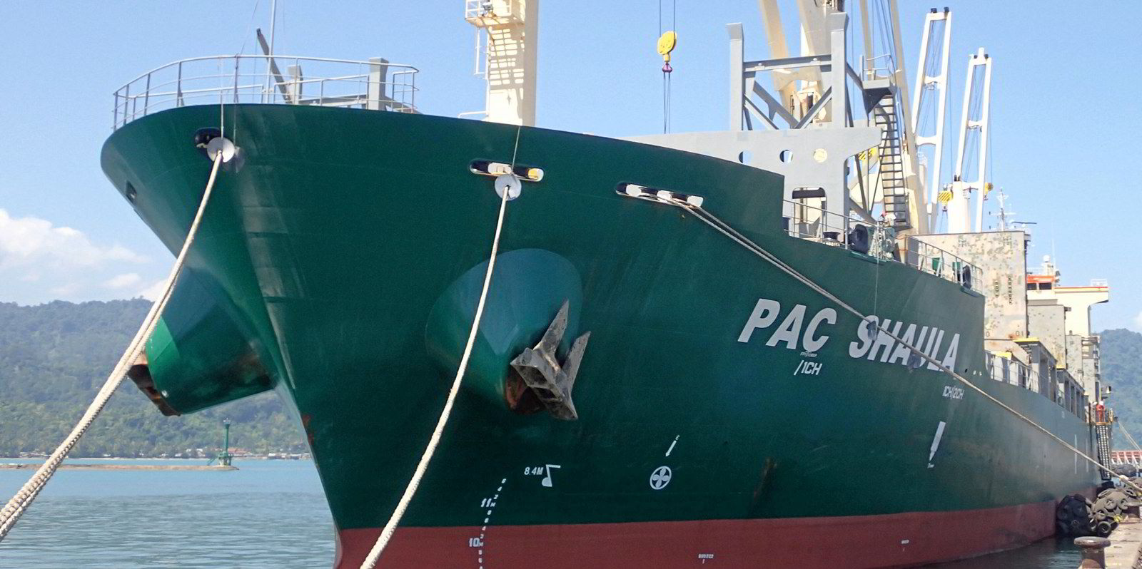Dry bulk offence: Pacific Carriers gets ‘asset heavy’ | TradeWinds