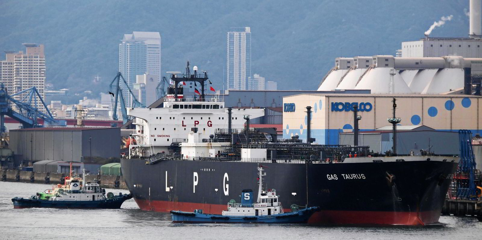 Kostas Angelou linked to new VLGC order at Hyundai Heavy | TradeWinds