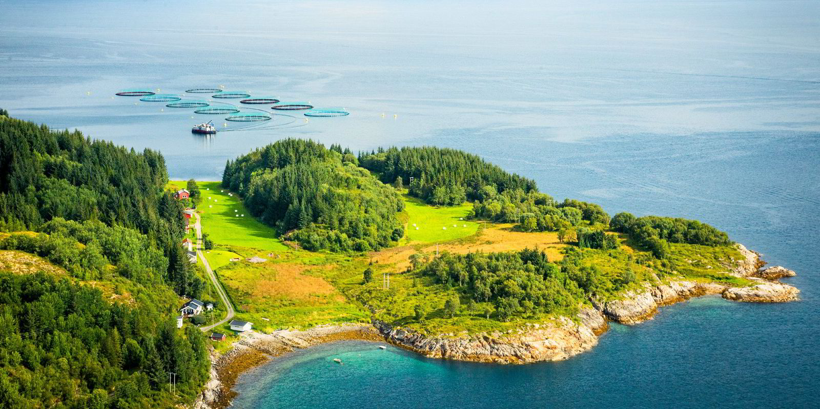 Nova Sea: – Vi kan bidra med mer skatt til fellesskapet | IntraFish.no