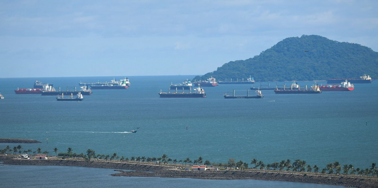 Midsize bulker market stays aloft as ships skip choked-up Panama Canal ...